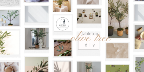 Bring peace home: a simple diy olive tree tutorial - Wares Vintage Home